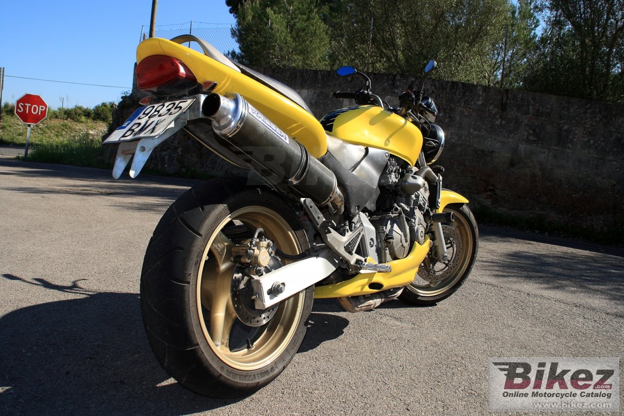 Honda CB 600 F Hornet poster